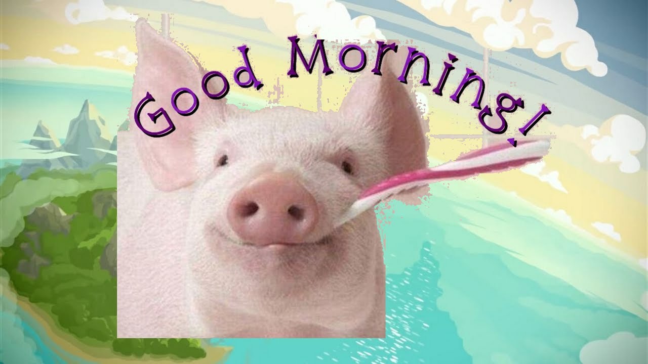 bad piggies - Good Morning! - YouTube