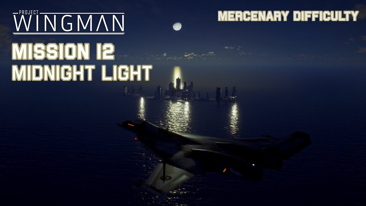Project Wingman | Mission 12: Midnight Light | Mercenary - YouTube