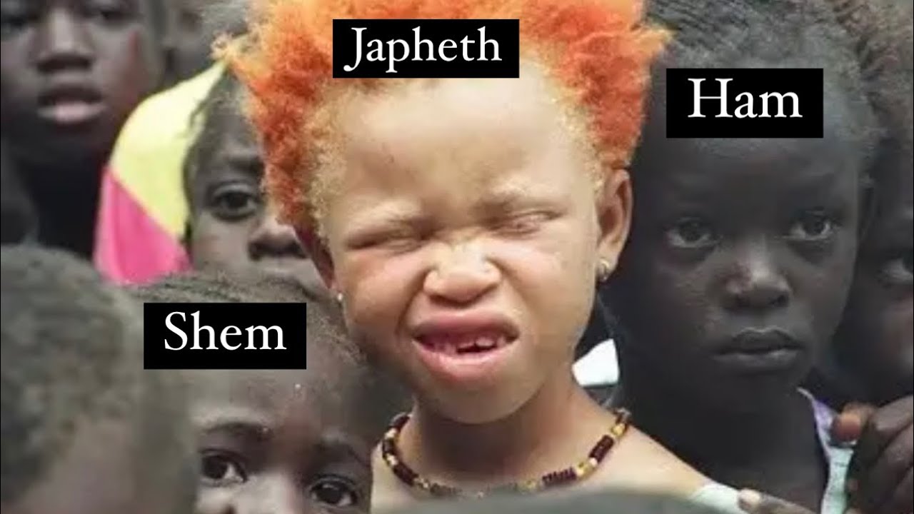 GROUNDBREAKING DNA BREAKDOWN OF NOAH’S SONS! - YouTube