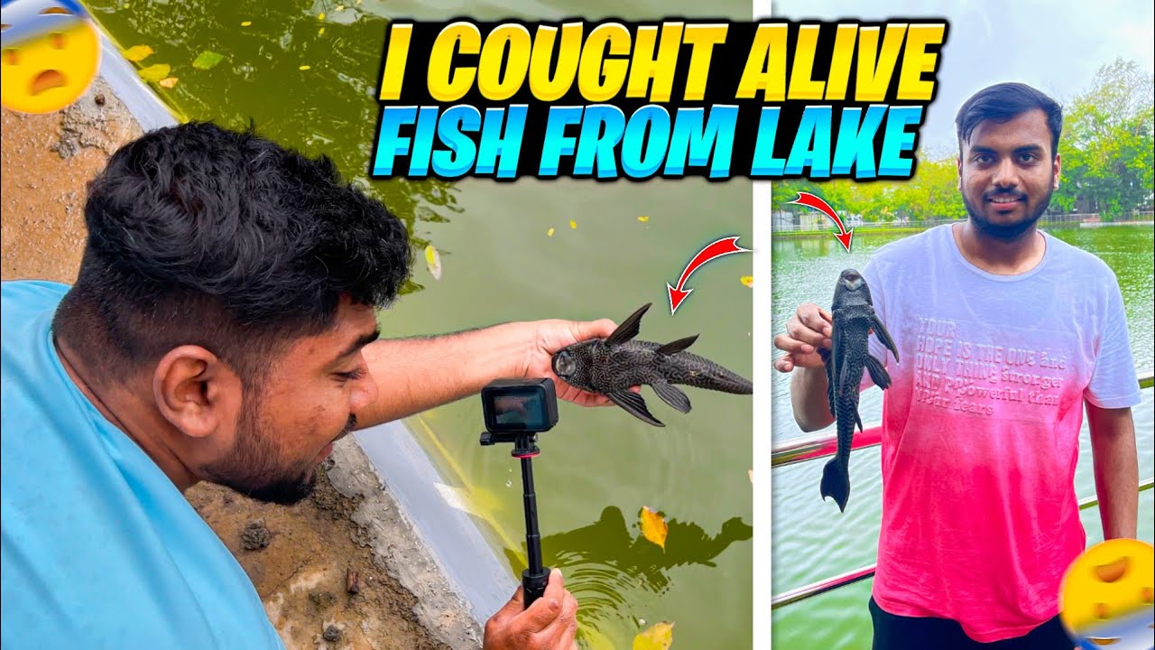 I Cought Alive Fish For My Fish Tank 😍 & Leave Him Again In Water - YouTube