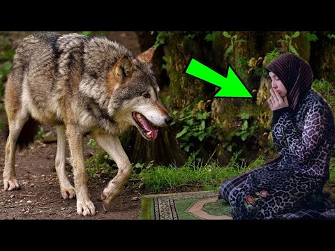 Bakın Namaz Kılarken Köpek Saldırısına Uğrayan Kadın Ne Yaptı?! Büyük Sürpriz!