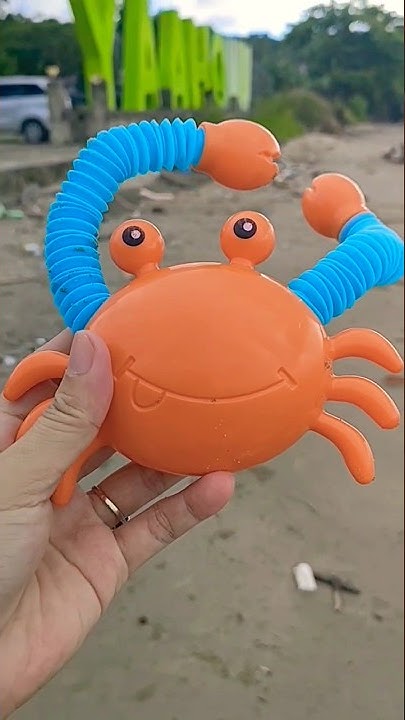 Hello MR Crabs #orangecrabs #cutetoys #kepitinglucu #poplight #hewanlucu #beachvibes - YouTube