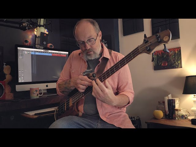 Aaron Gibson - Bassist, Singer Songwiter