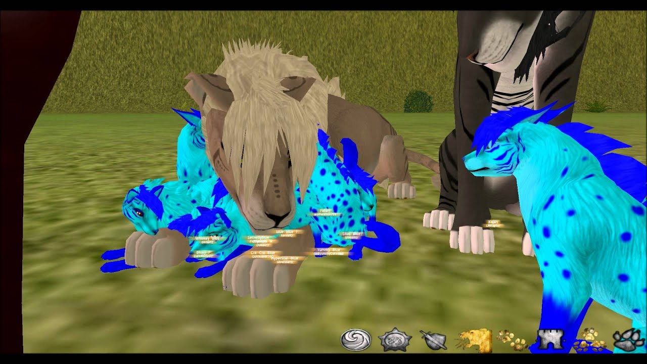 Feral Heart CRA Blue Wolf Army - YouTube