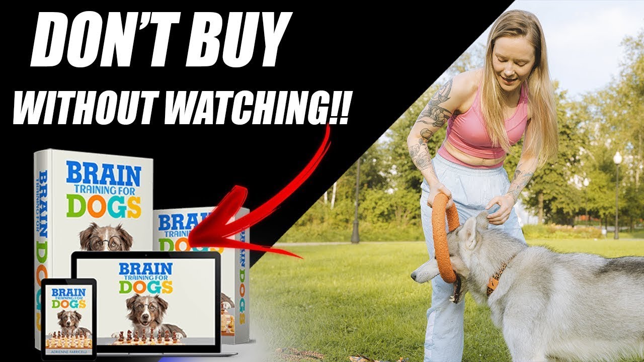 Brain Training for Dogs Review By a Professional Dog Trainer - YouTube