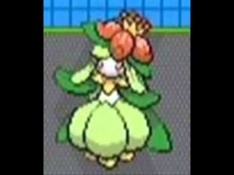 Entire Pokemon Generation 5 Isshu/Unova Pokedex - YouTube