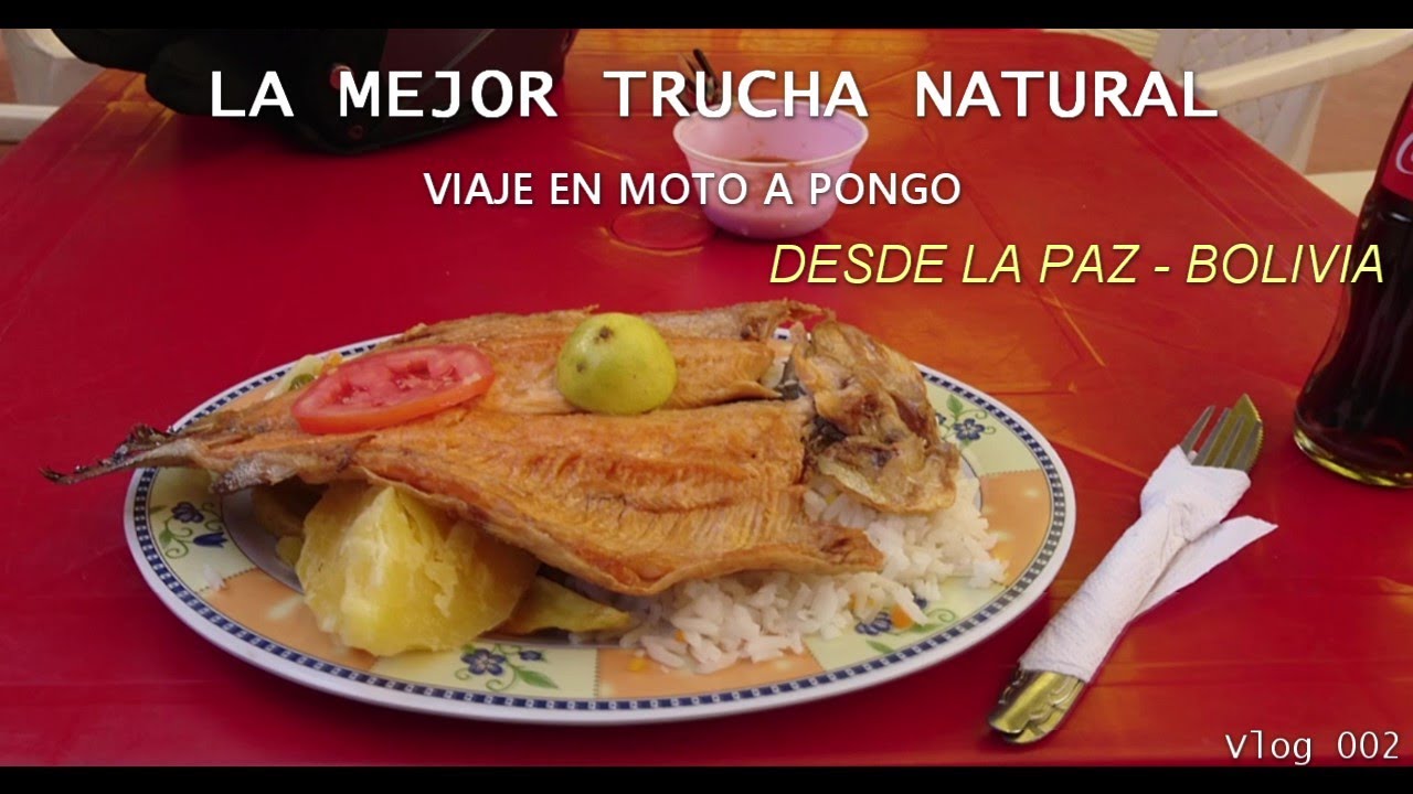 VIAJE A PONGO (La Paz - Bolivia) POR TRUCHA EN MOTO... - YouTube