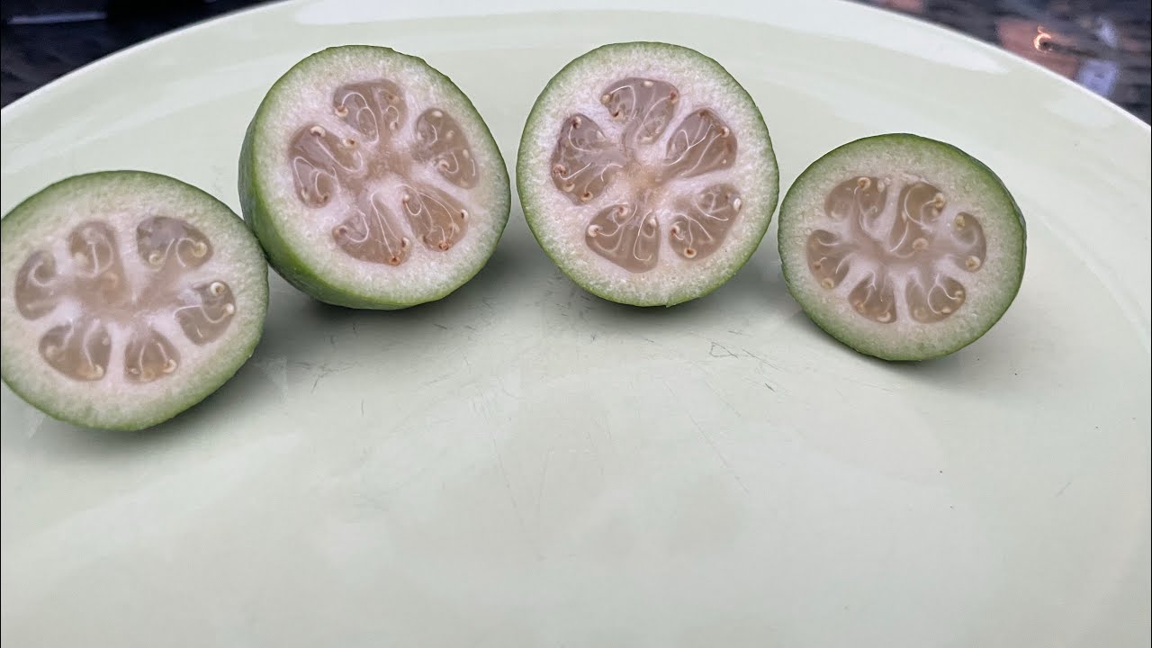 Mammoth the sweetest & most flavoursome Pineapple Guava I’ve tasted 😋 ...