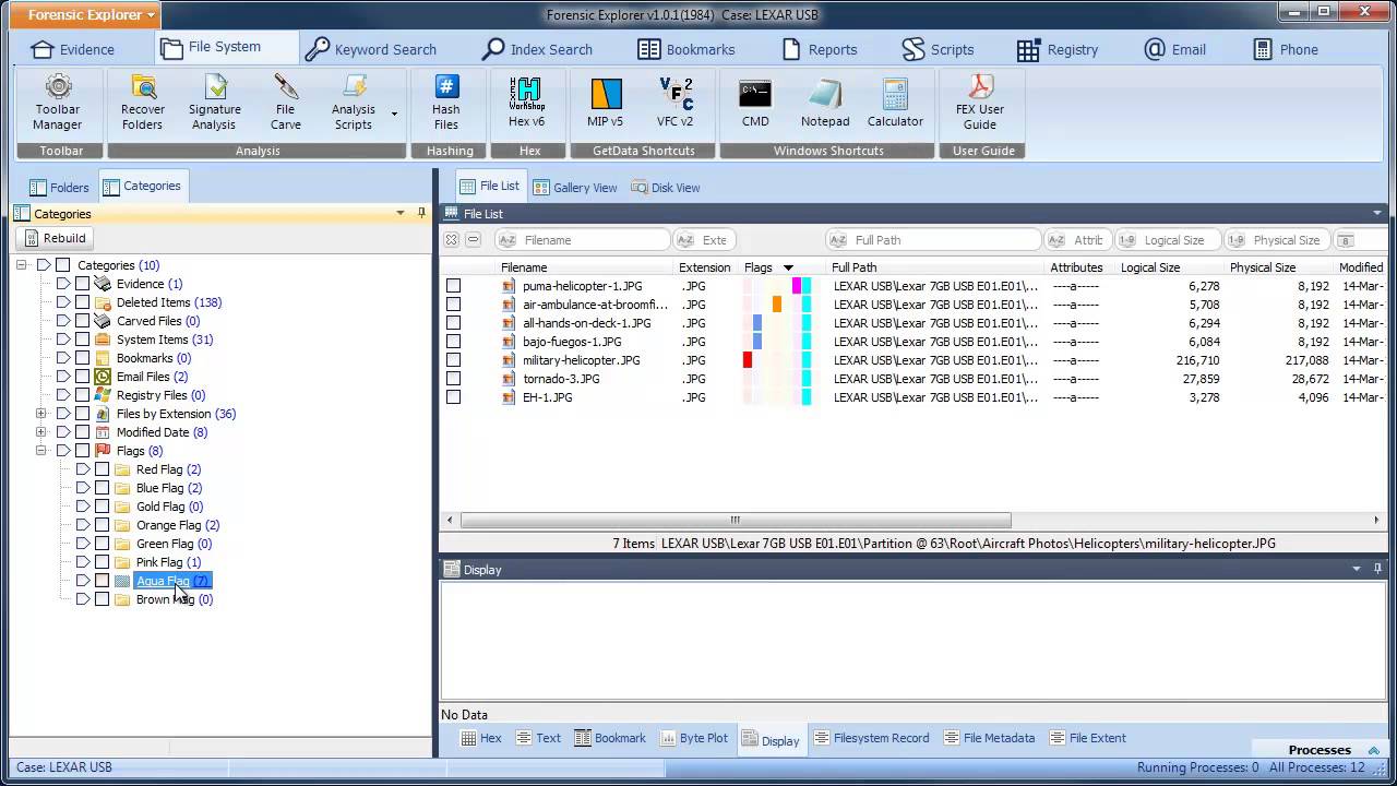 Forensic Explorer Flags - YouTube
