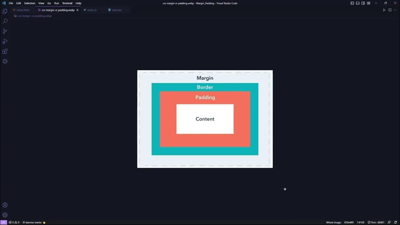 Giải thích đơn giản về Padding, Border và Margin trong CSS - YouTube