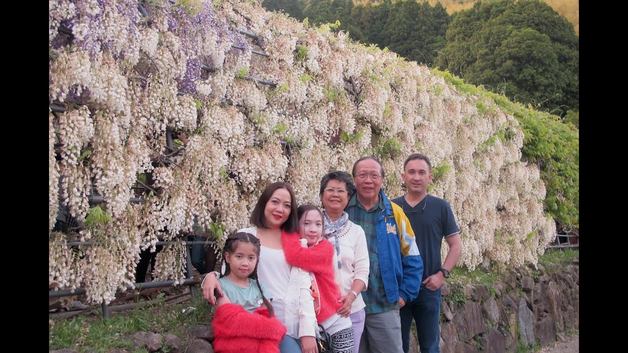 Kyushu Spring Flowers Fukuoka 5 9 May 15 1 of 2 - YouTube