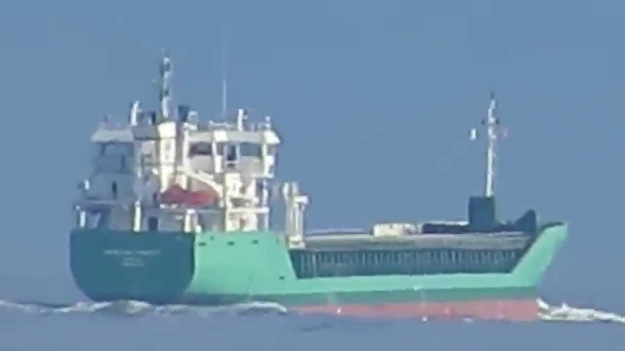 ARKLOW FOREST - YouTube