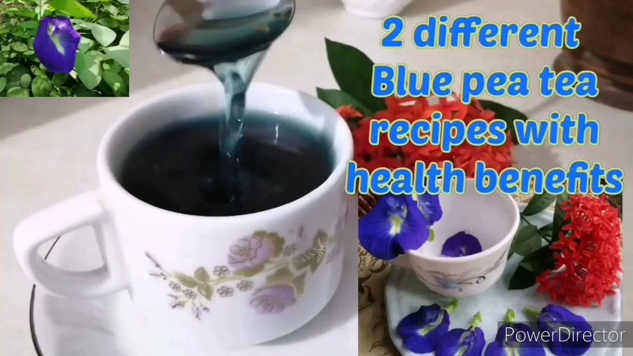 butterfly pea flower tea | health benefits of blue tea including 2 ...
