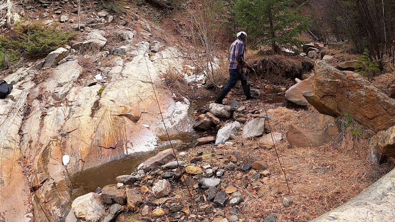 ⚡Colorado Speed Gold Prospecting - Panning In Clear Creek County⚡ - YouTube