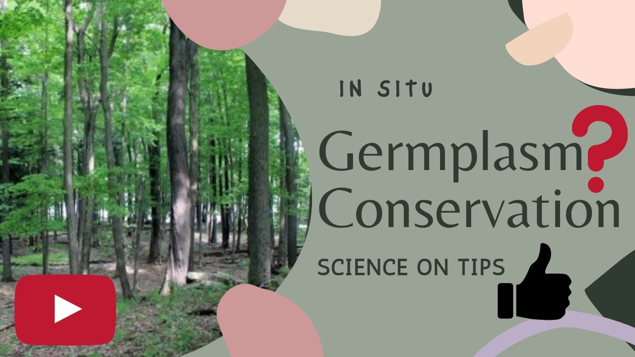 Germplasm conservation ( Part 1) - YouTube