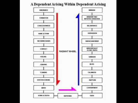 Paticcasamuppada Dependent Origination in Everyday Life 3 - YouTube