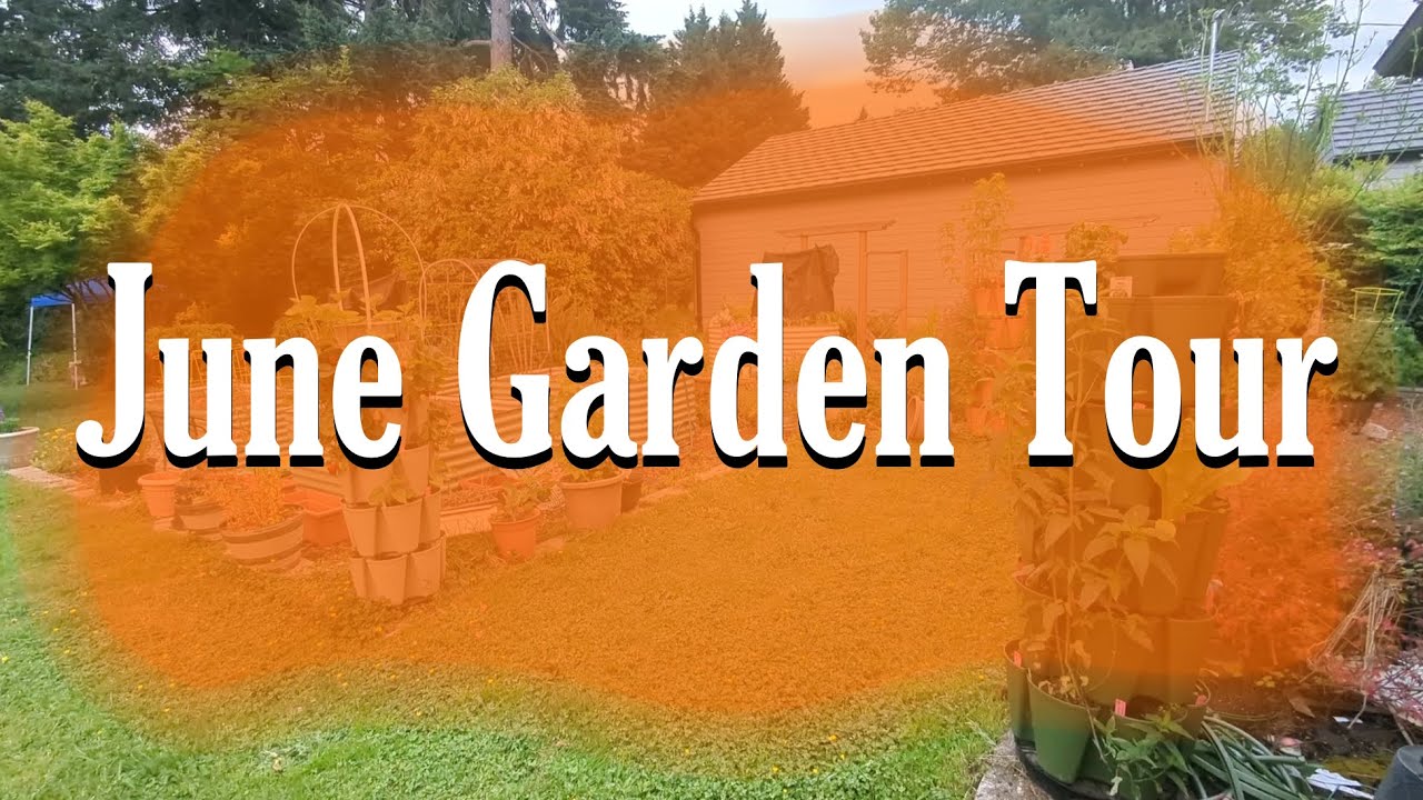 June Garden Tour - an update on our perennial and annual plantings ...
