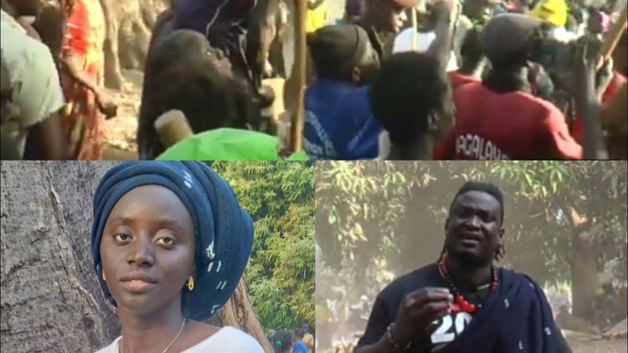 Casamance : Découvrez la culture Diola dans le royaume Afilédio avec le ...