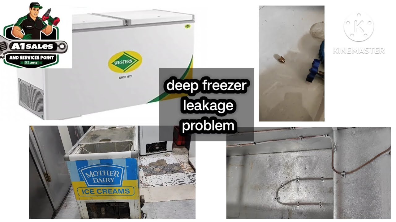 Deep Freezer Body Leak Chek|Deep Freezer Leakage Problem|Deep Fridg ...