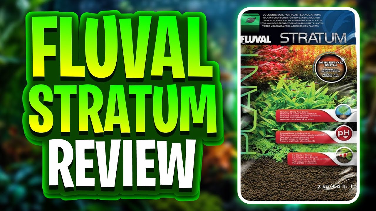 Fluval Stratum Review: My Results After a Year of Use In Six Planted ...