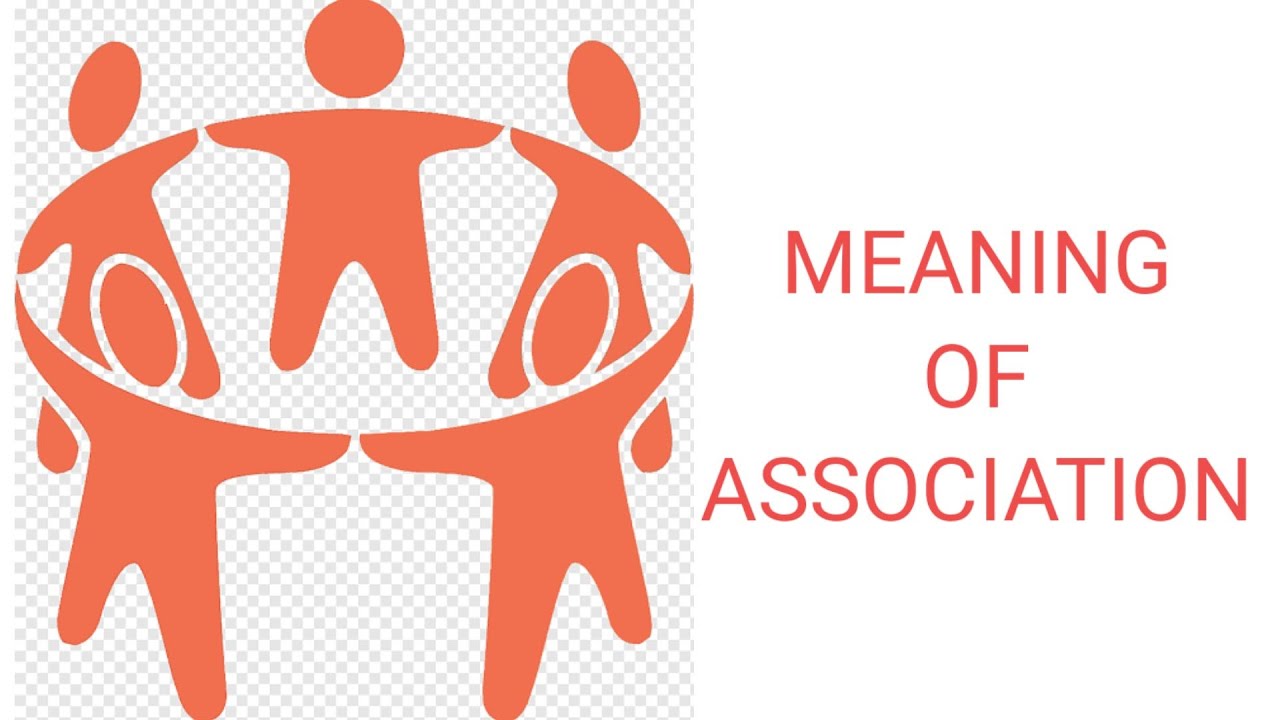 MEANING AND EXAMPLE OF ASSOCIATION - YouTube