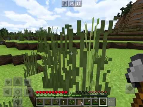 Minecraft Bedrock Addition Hard Mode Ep 1!!!! - YouTube