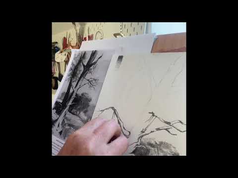 Pencil Value Study - YouTube