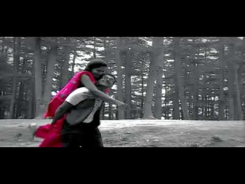 Bada kar desi dil tenu pyar no tu te chad gai adi vich karni