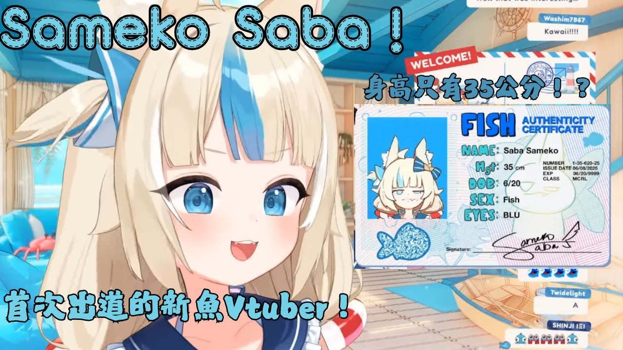 【Sameko Saba】YoHo！超級小可愛新魚Saba出道！身高竟然只有35公分！？｜直播精華｜ - YouTube