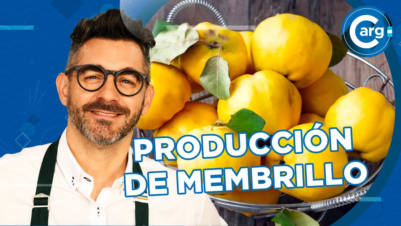 QUÉ ES EL MEMBRILLO - YouTube