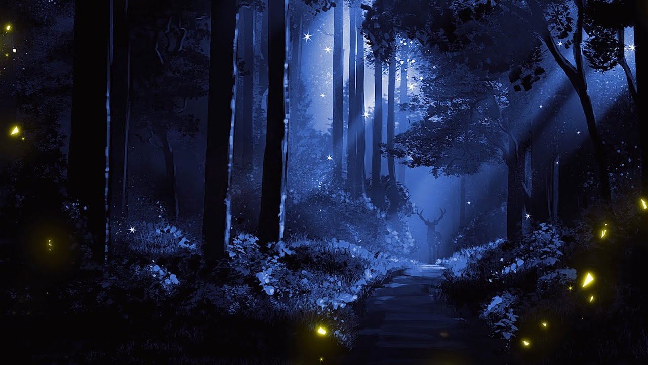 Forest Path Night