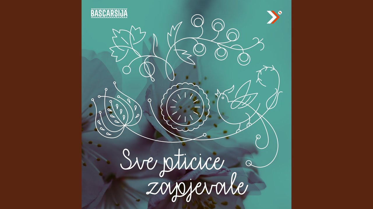 Sve pticice zapjevale - YouTube