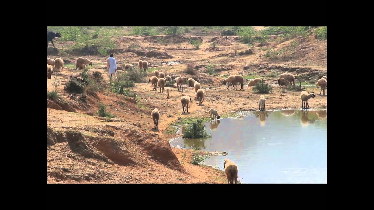 SHEPHERD BOY music-video - YouTube