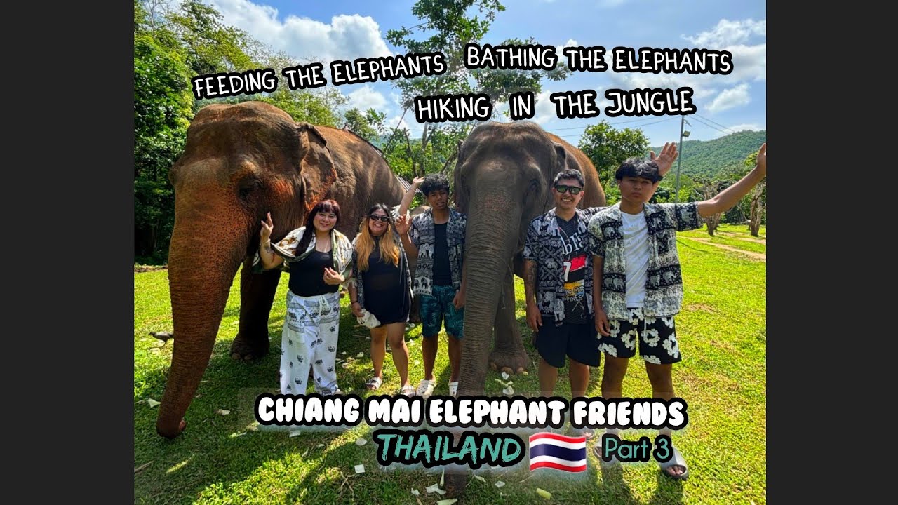Elephant Sanctuary Full-Day Activities | Hiking, Bathing & Feeding the ...