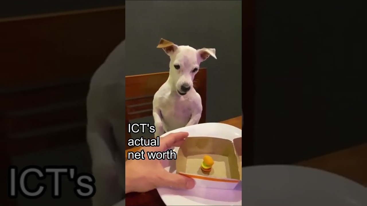 Inner Circle Trader's Net Worth Explained... - YouTube