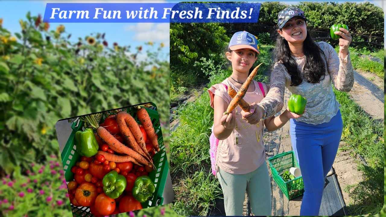 Texas Sun, Fresh Veggies, Fresh Air & Picks! Pure Land Farm Fun 🌻🥕🫑🍅 ...