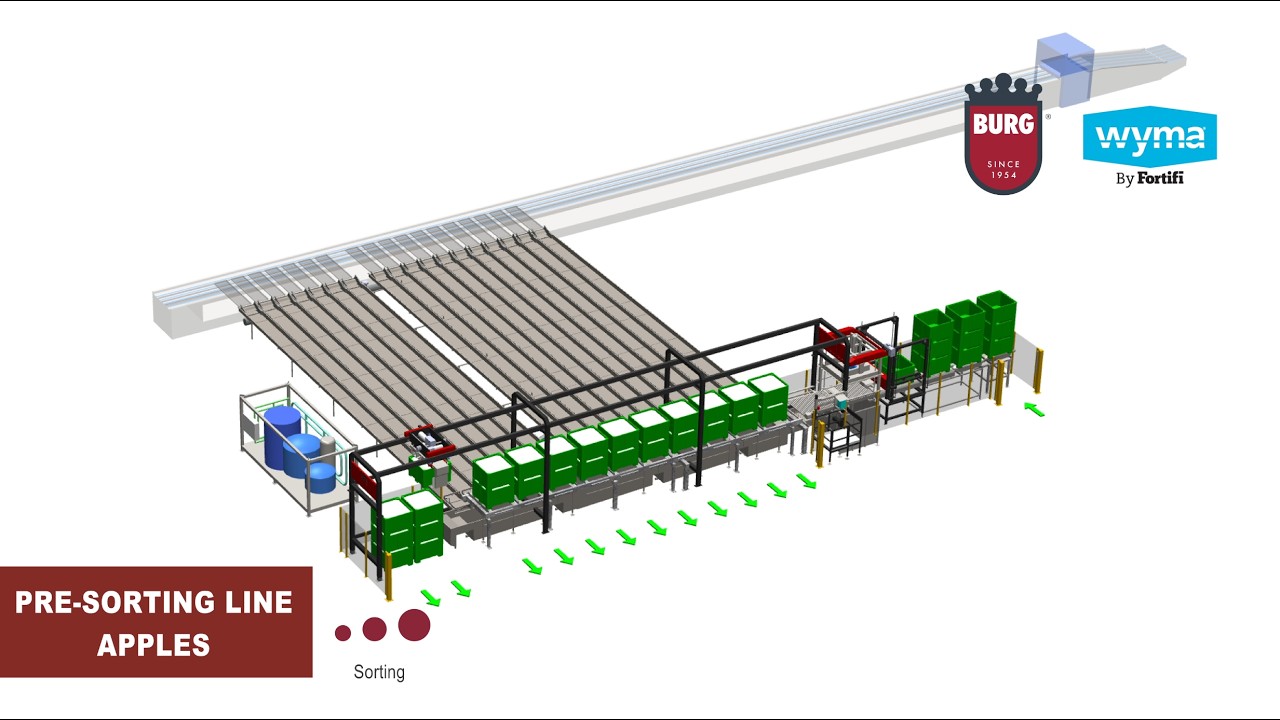Burg Machinery - Pre-sorting project apples - YouTube
