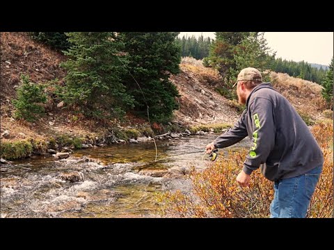 Antlered Pursuit: FLY FISHING the BIGHORN MOUNTAINS for Wild Trout with ...