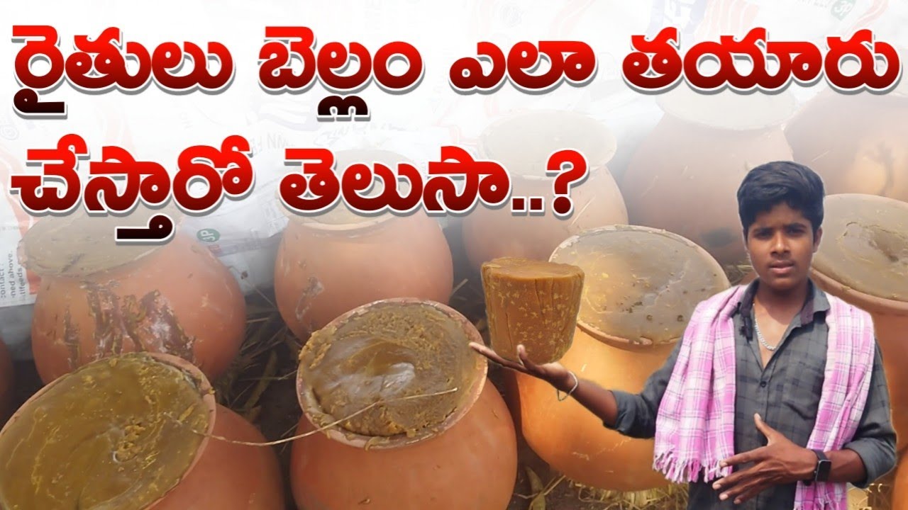 సాంప్రదాయ బెల్లం తయారీ || Traditional jaggery preparation || Eswara Rao ...