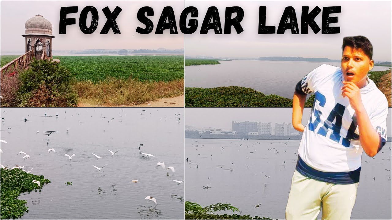 Fox Sagar Lake Hyderabad | Jeedimetla Cheruvu | Complete Information ...