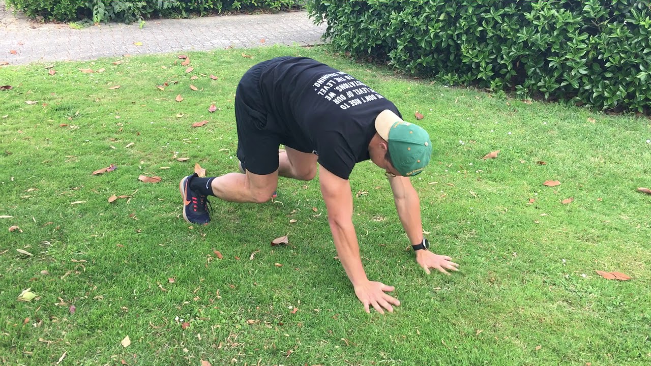 Bear Hop Backwards - Upside Strength Exercise Library - YouTube