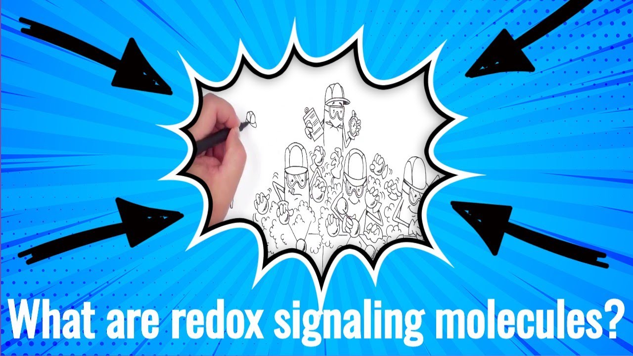 What are Redox Signaling Molecules? - YouTube