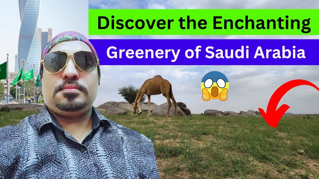 Discover the Enchanting Greenery of Saudi Arabia: A Journey Through the ...