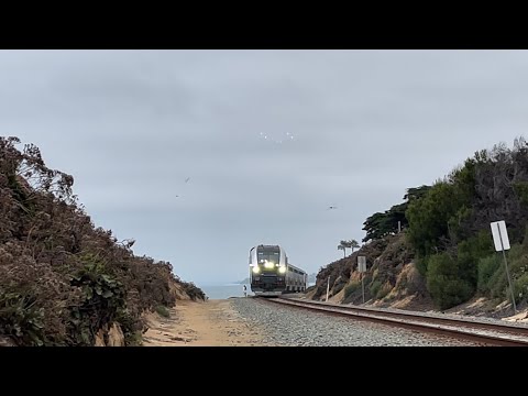 CDTX 2110 Compilation 2023 - YouTube