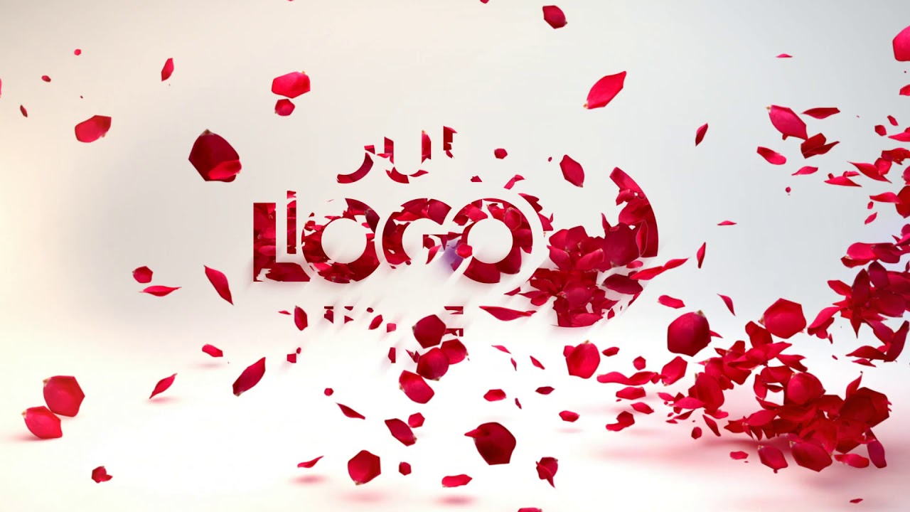 528 c1 Flower Leeds Logo Animation - YouTube
