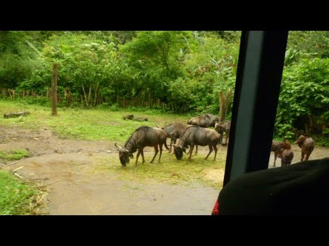 Ngintip cewe di taman lg pipis