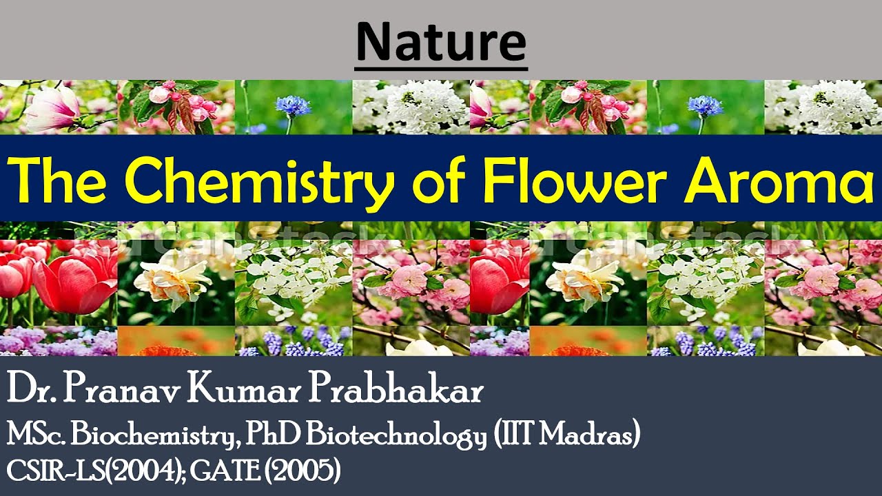 The Chemistry of Flower Aroma #flower #pkprabhakar - YouTube