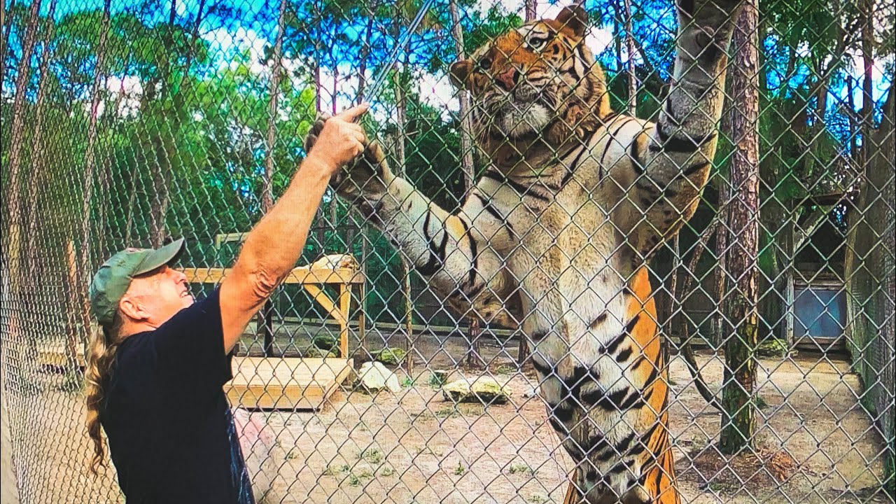 McCarthy’s Wildlife Sanctuary is AMAZING!!! Rescue, rehabilitation and ...