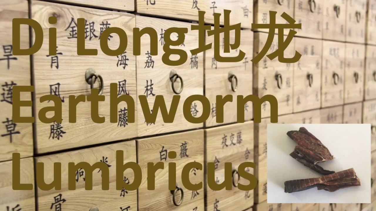 65 Chinese Herbal Medicine, Traditional Chinese Medicine - Di Long ...