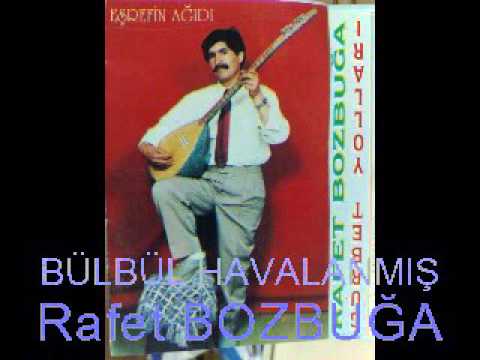 Bülbül Havalanmış Yüksekten Uçar
